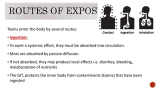 Introduction to Food Toxicology.pptx