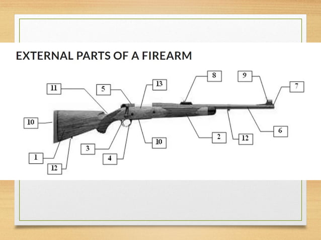 Introduction to Forensic Ballistics.pptx