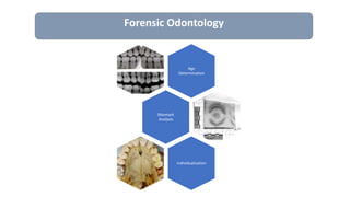 introductiontoforensicbiology-201208192650.pdf