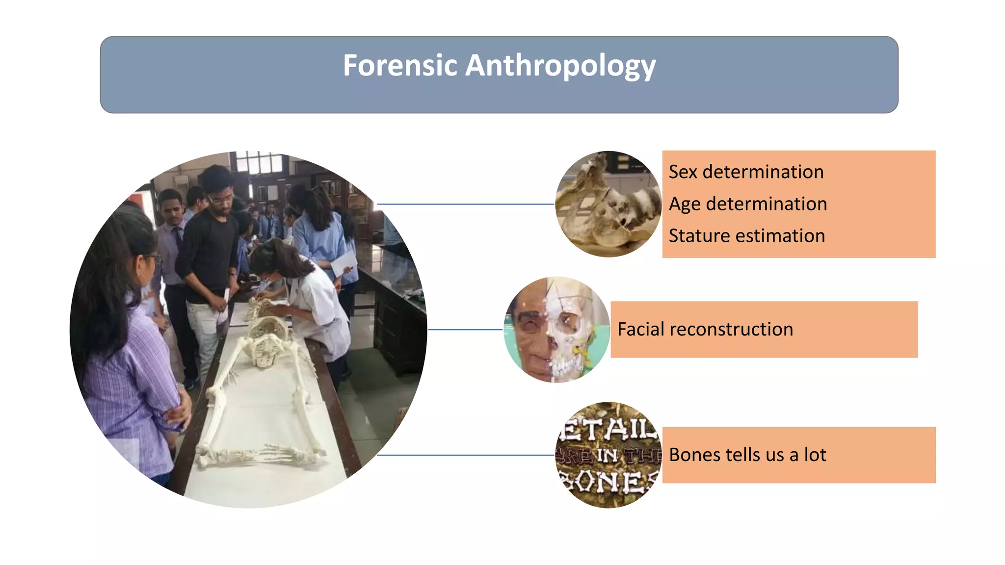 Introduction to Forensic Biology | PPTX