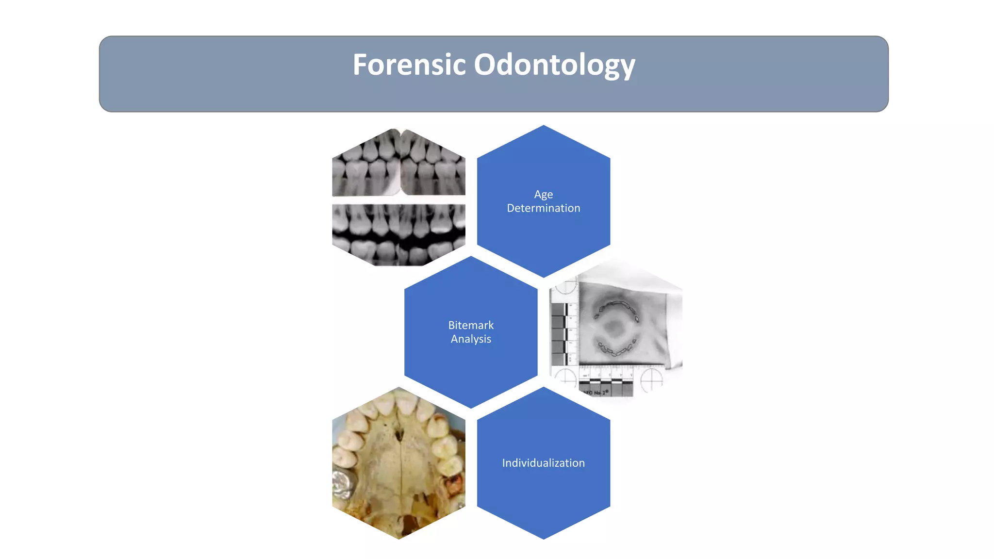 Introduction to Forensic Biology | PPTX