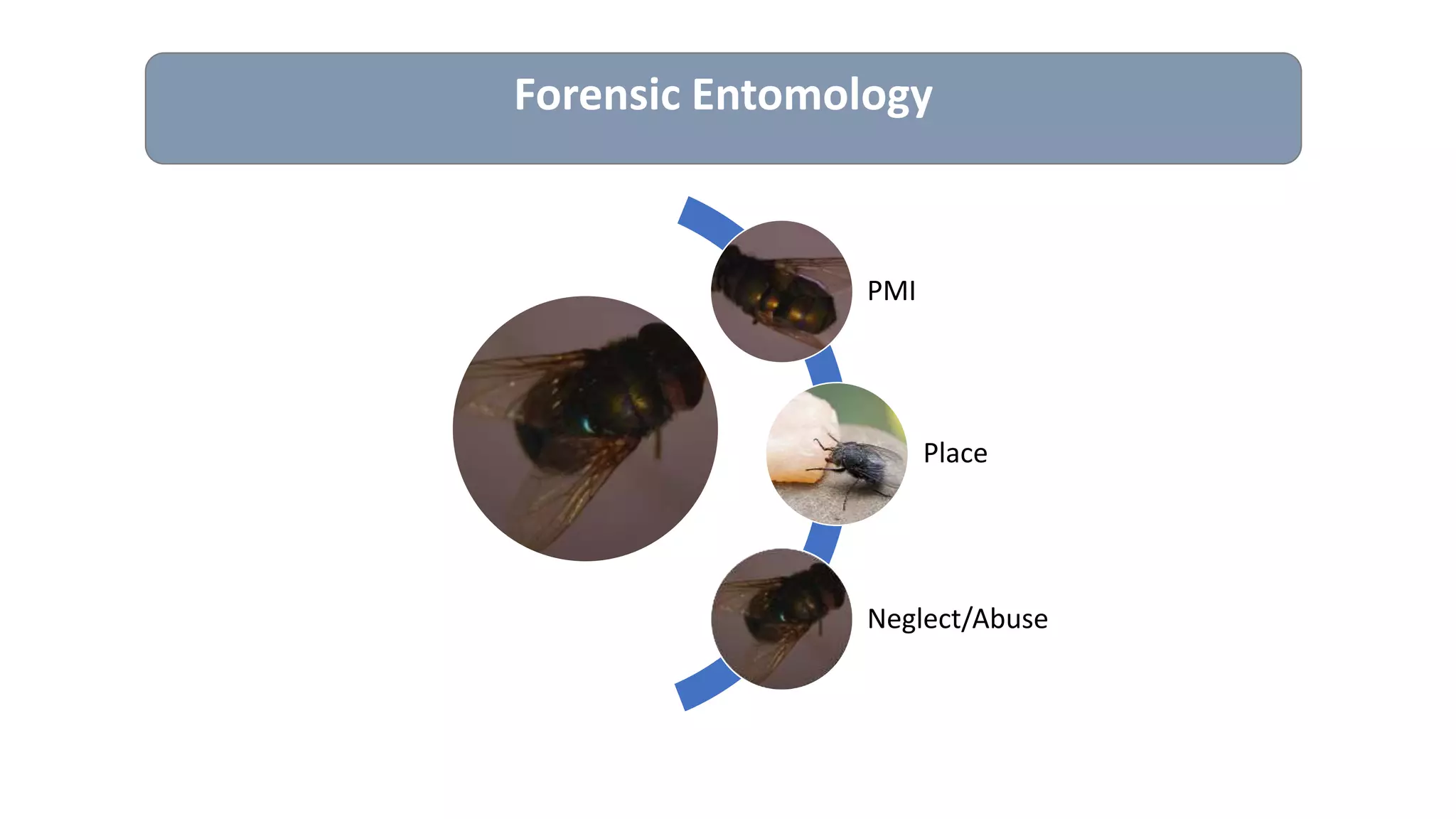 Introduction to Forensic Biology | PPTX