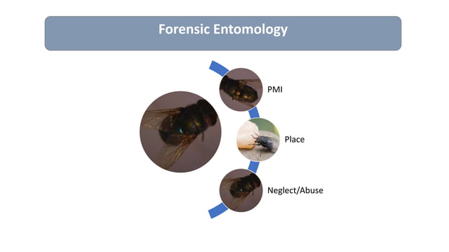 Introduction to Forensic Biology | PPTX