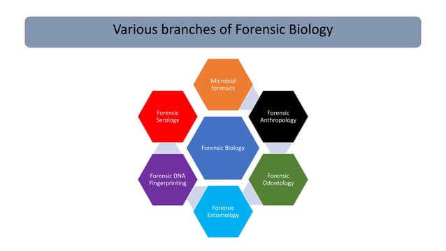Introduction to Forensic Biology | PPTX