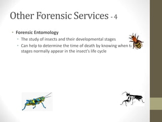 IntroductiontoForensics.ppt