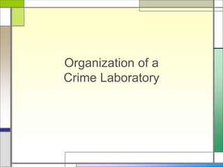 IntroductiontoForensics.ppt