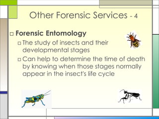Introduction to Forensics all about the history of forensic science | PPT