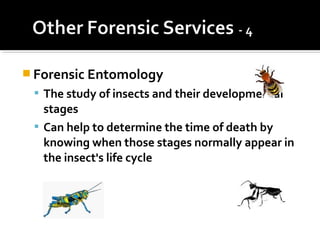 Introduction to Forensics by Piyush B. Thakur | PPT