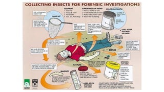 Introduction to Forensic science | PDF