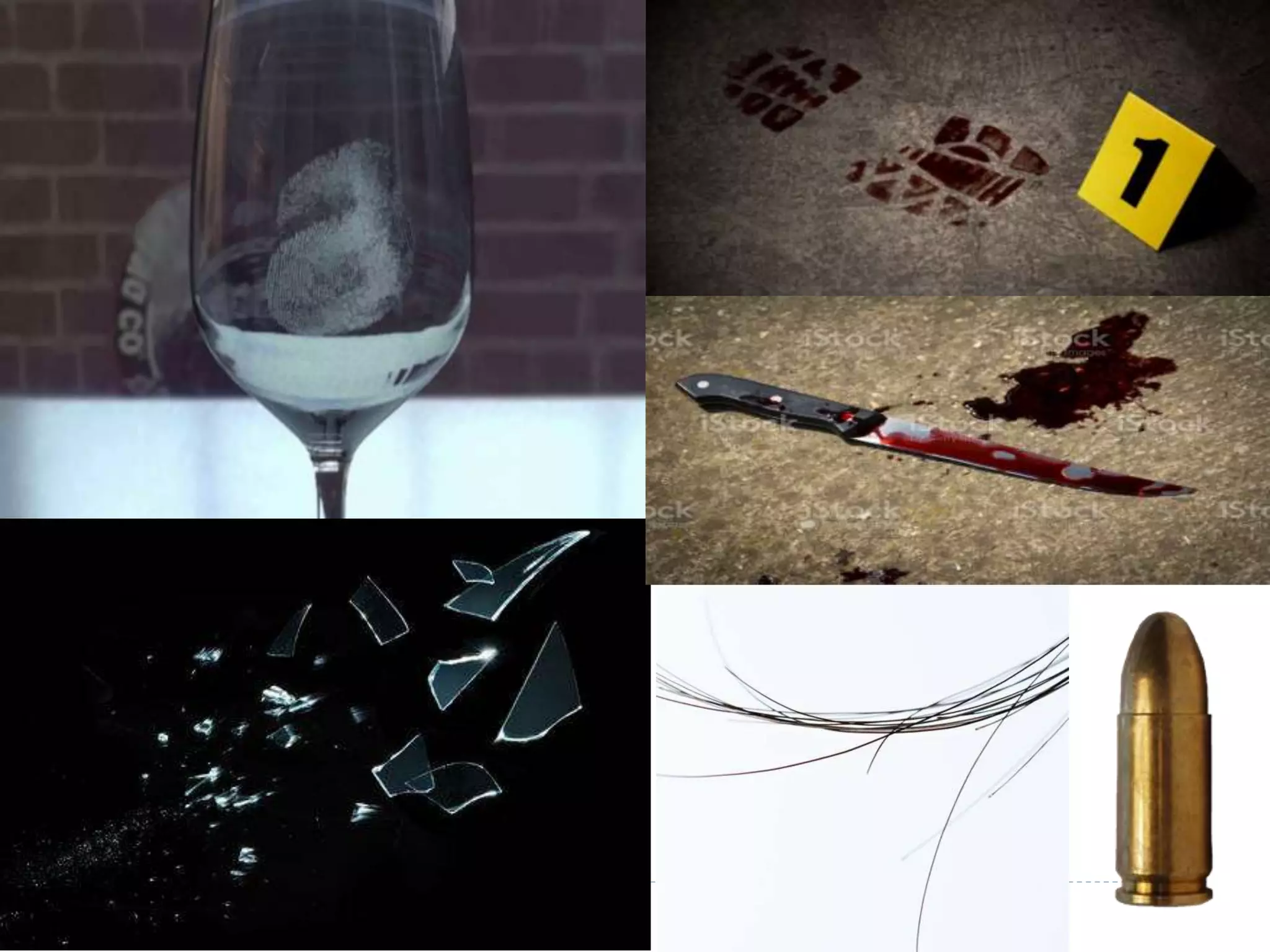 Introduction to forensic science | PPTX