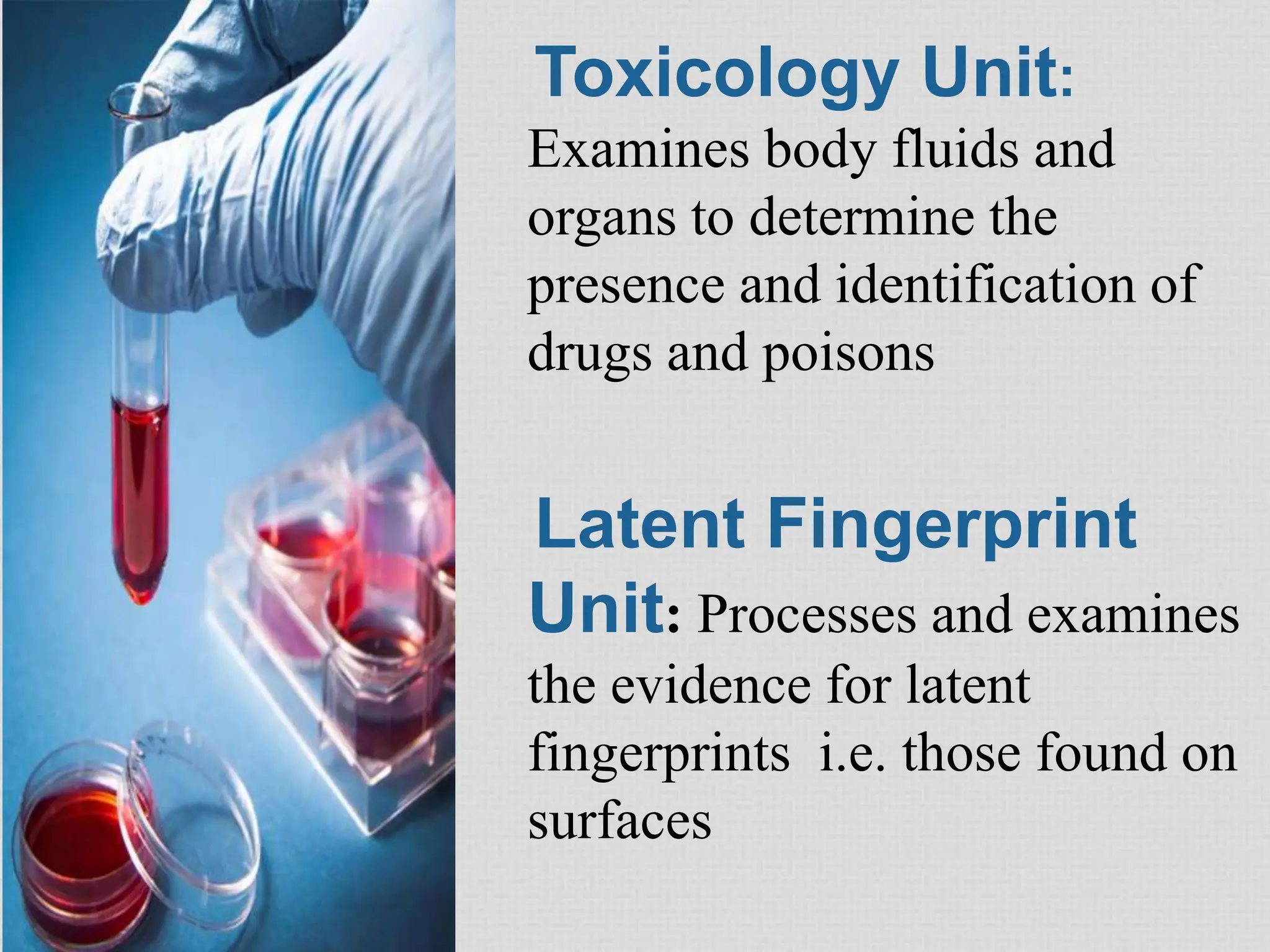 INTRODUCTION TO THE FORENSIC SCIENCE.ppt | Debated Sensitive Social ...