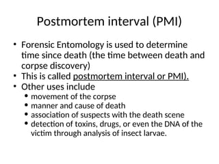 Introduction to Forensic Science Forensic Entomology.ppt