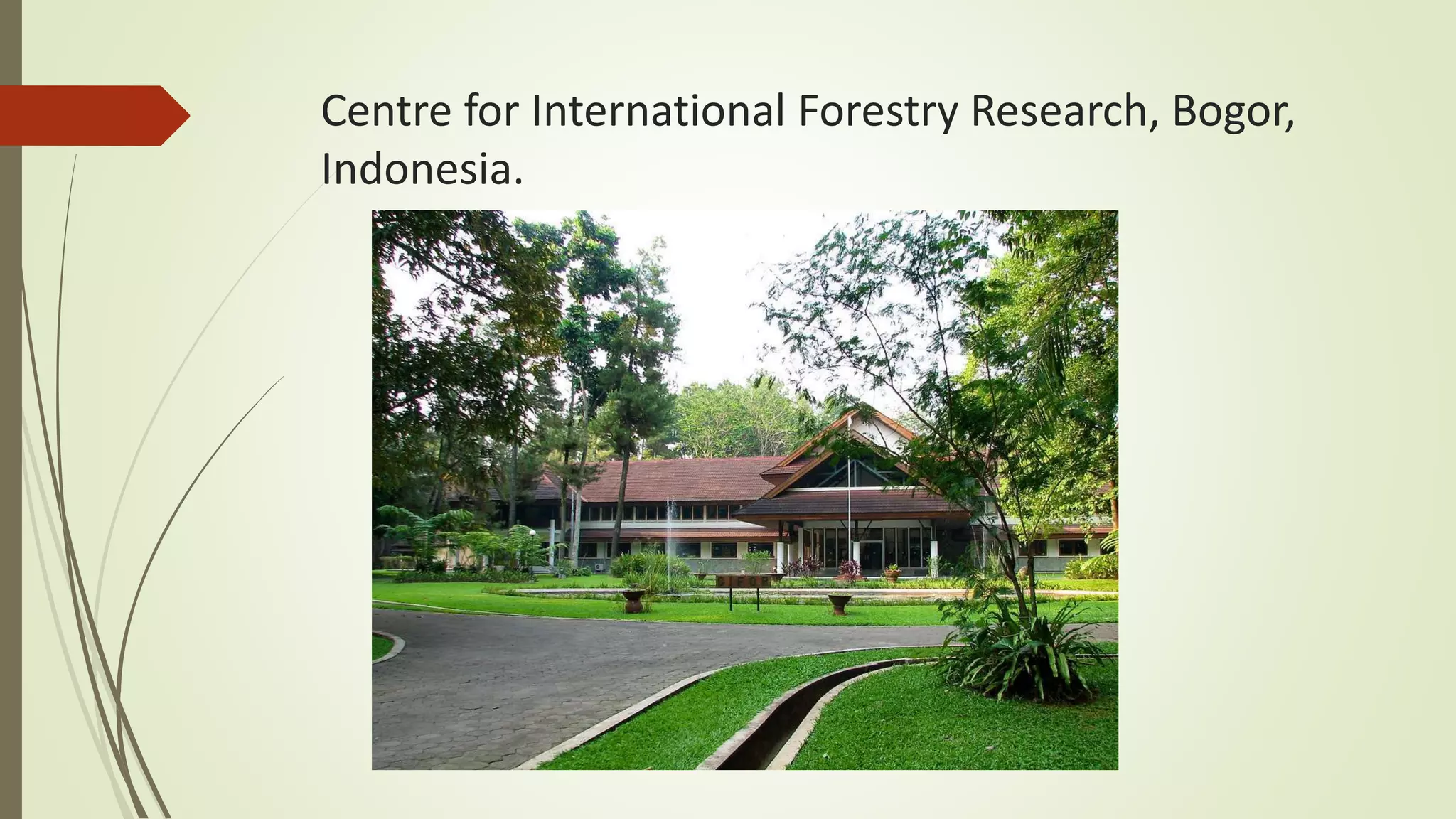 Introduction to forest.pptx