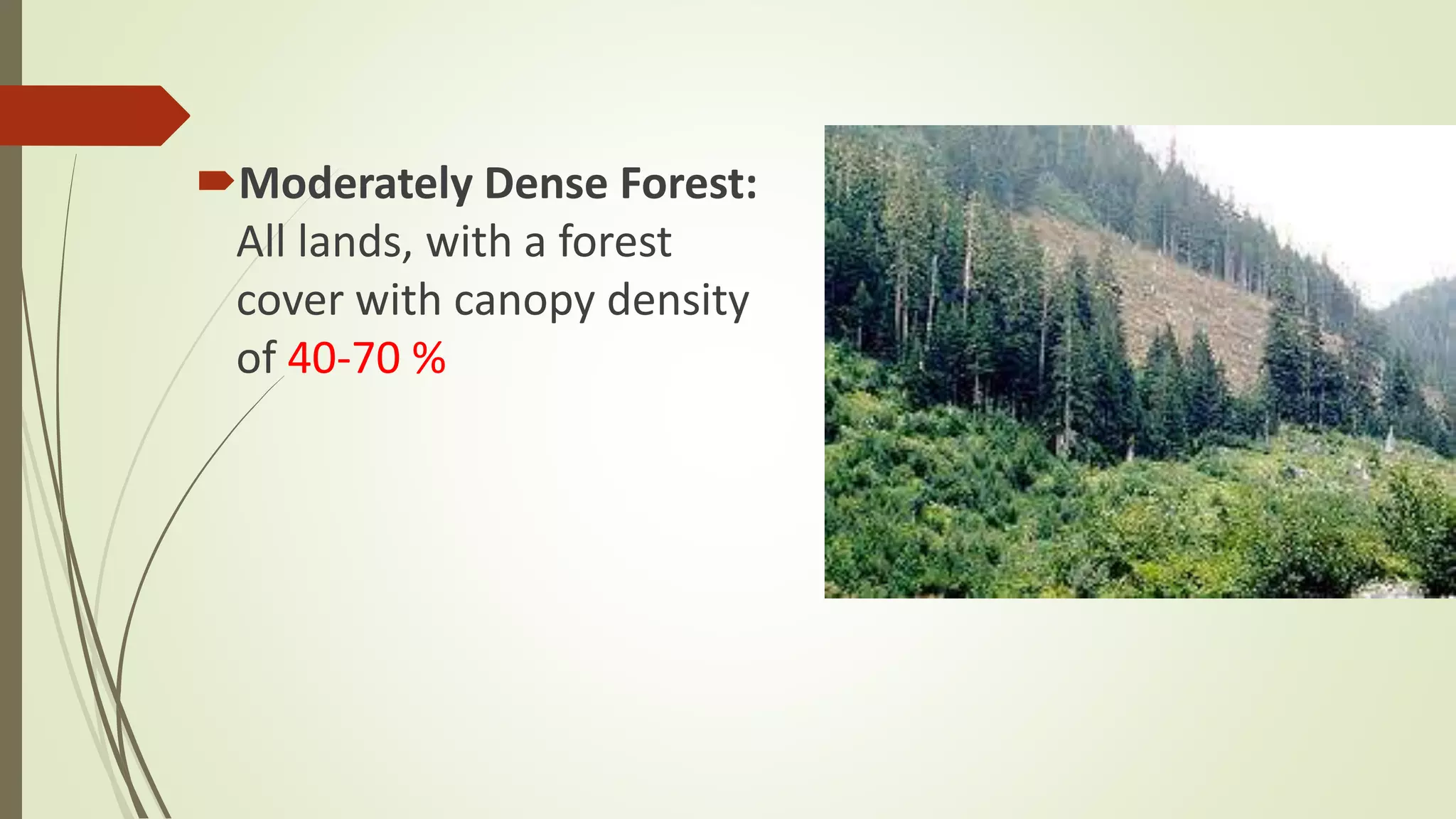 Introduction to forest.pptx