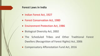 Introduction to forest.pptx