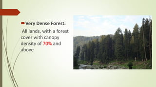 Introduction to forest.pptx