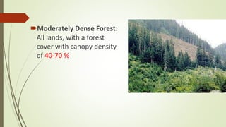 Introduction to forest.pptx
