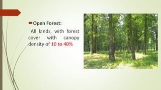 Introduction to forest.pptx