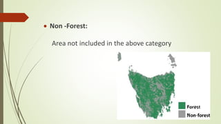 Introduction to forest.pptx