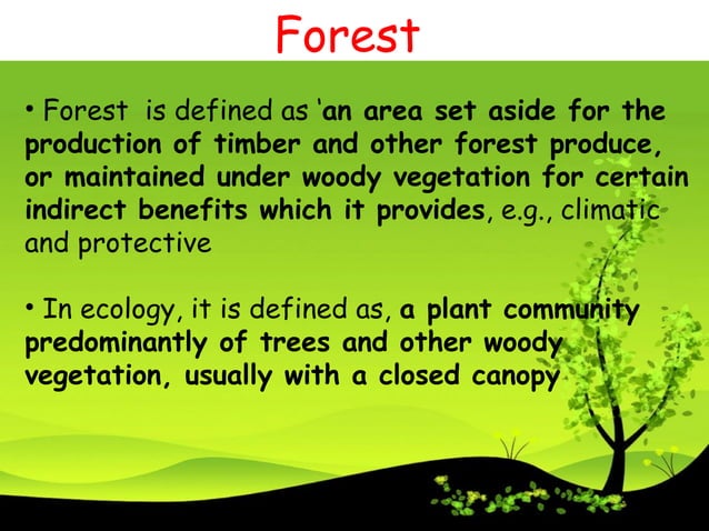 Introduction to forestry | PPT
