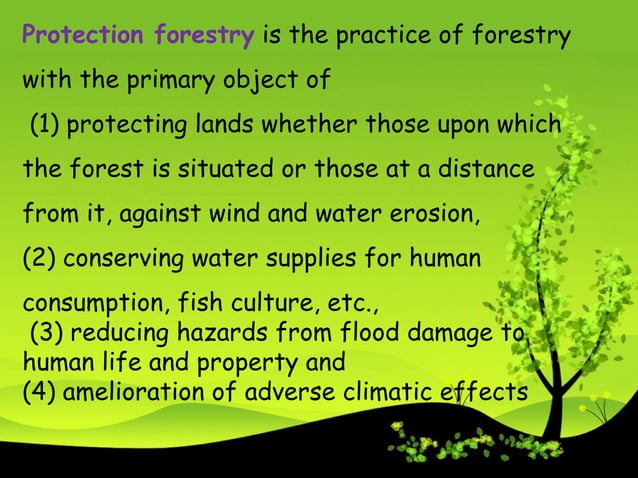 Introduction to forestry | PPT