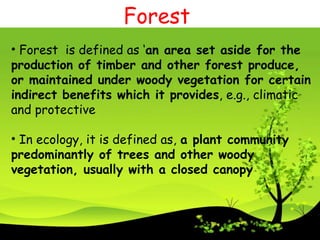 Forest Definition