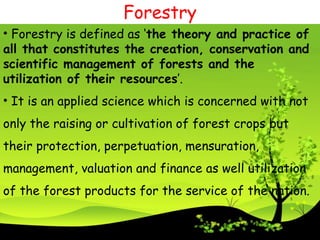 Forest Definition