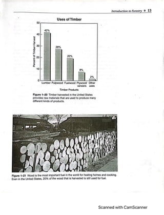 Introduction to Forestry | PDF