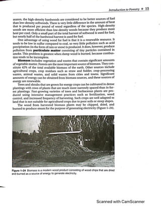 Introduction to Forestry | PDF