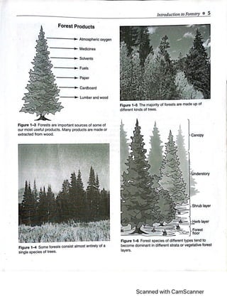 Introduction to Forestry | PDF