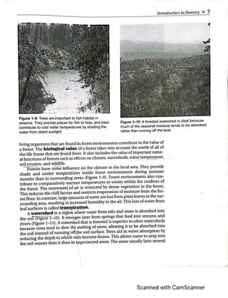 Introduction to Forestry | PDF