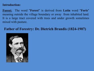 Introduction to forestry some terminology | PPTX