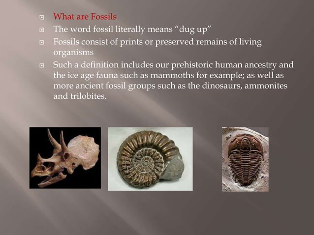 Introduction to fossils | PPTX | Geology | Science
