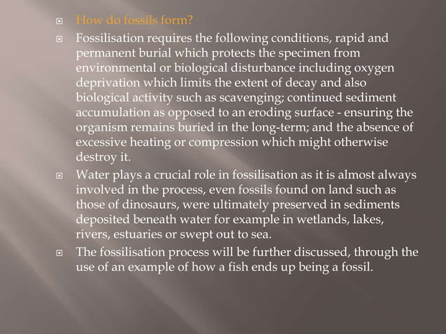 Introduction to fossils | PPTX | Geology | Science