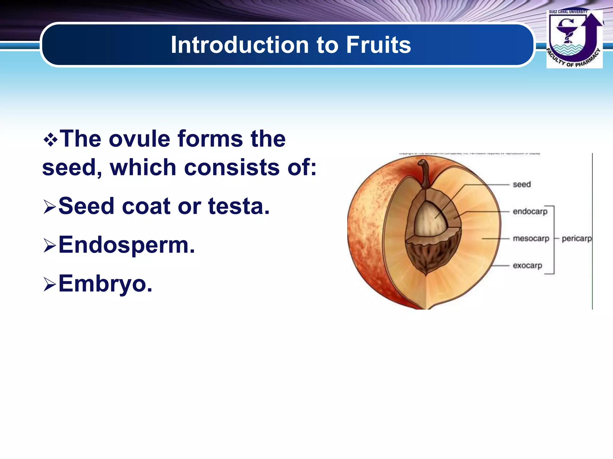 Introduction to fruits | PPTX