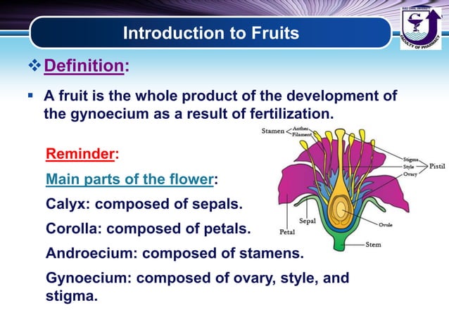 Introduction to fruits | PPTX