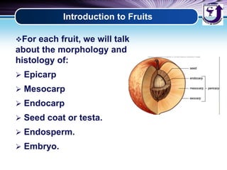Introduction to fruits | PPTX