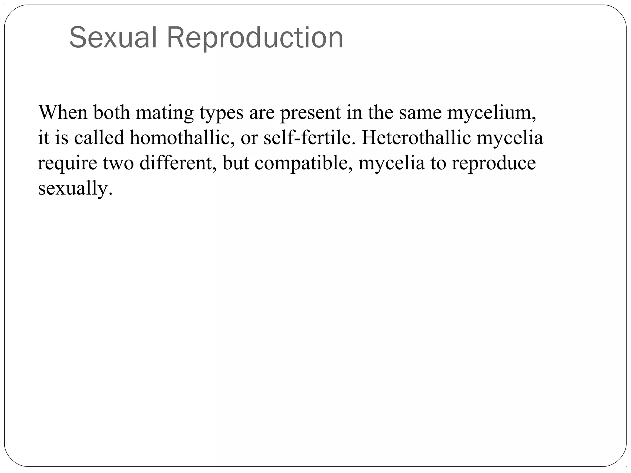 Introduction to fungi | PPT