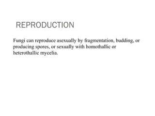 Introduction to fungi | PPT
