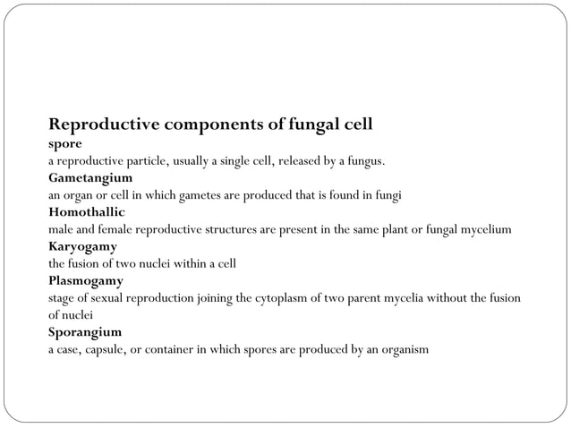 Introduction to fungi | PPT | Reproductive Health | Diseases and Conditions