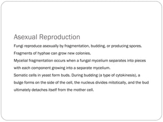 Introduction to fungi | PPT