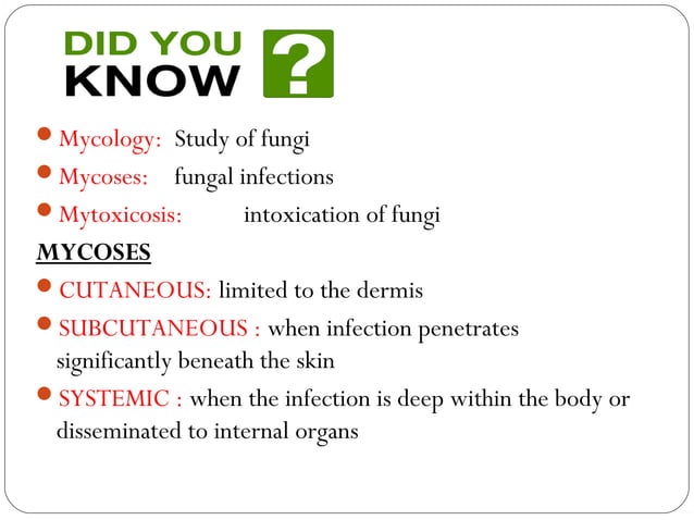 Introduction to fungi | PPT | Reproductive Health | Diseases and Conditions