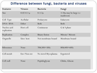 Introduction to fungi | PPT