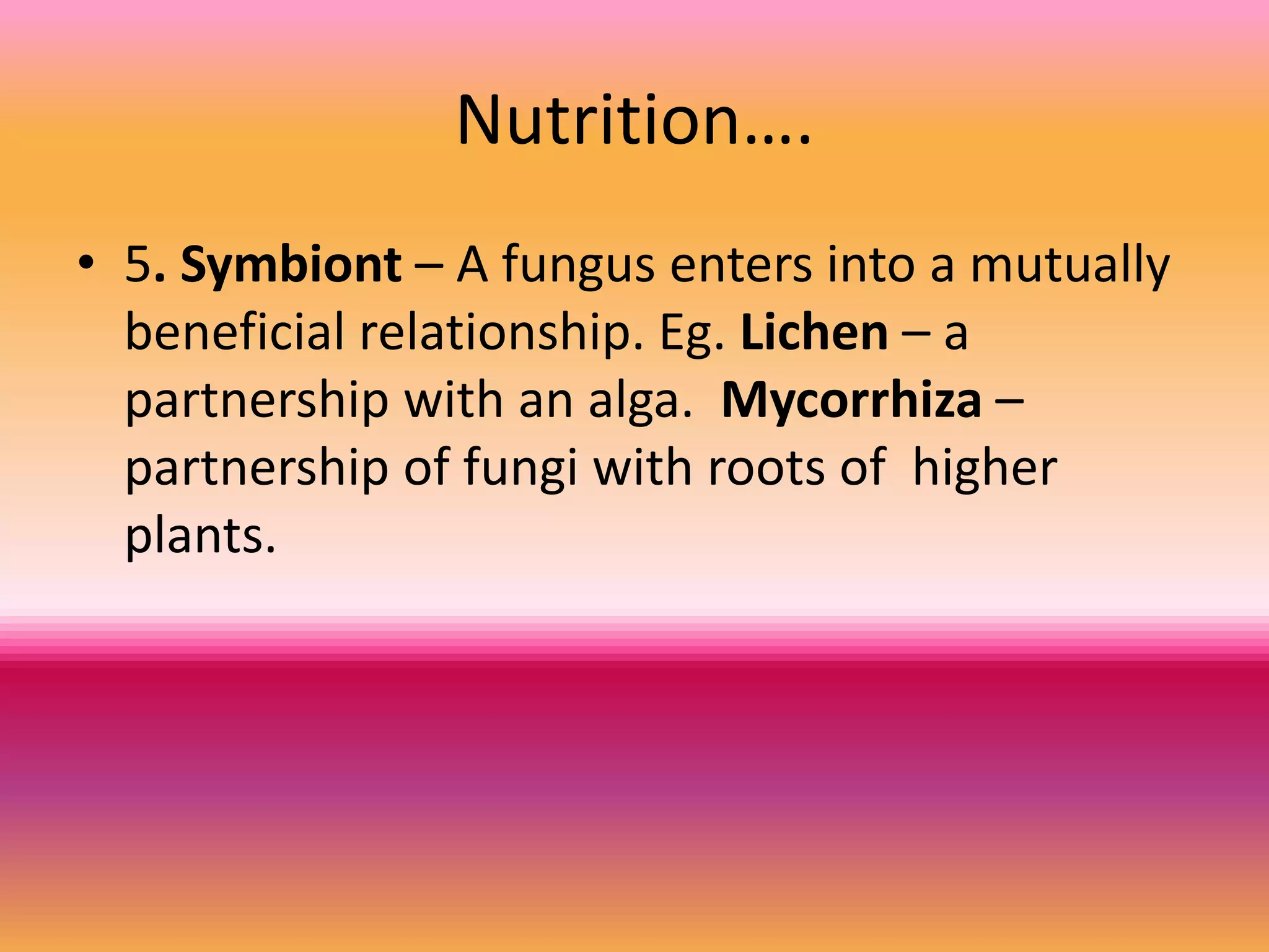 Introduction to fungi | PPTX