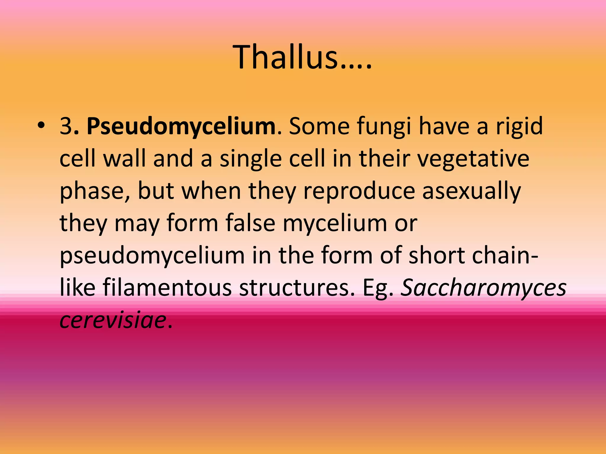 Introduction to fungi | PPTX