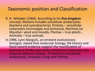 Introduction to fungi | PPTX