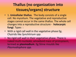 Introduction to fungi | PPTX
