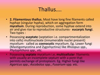 Introduction to fungi | PPTX