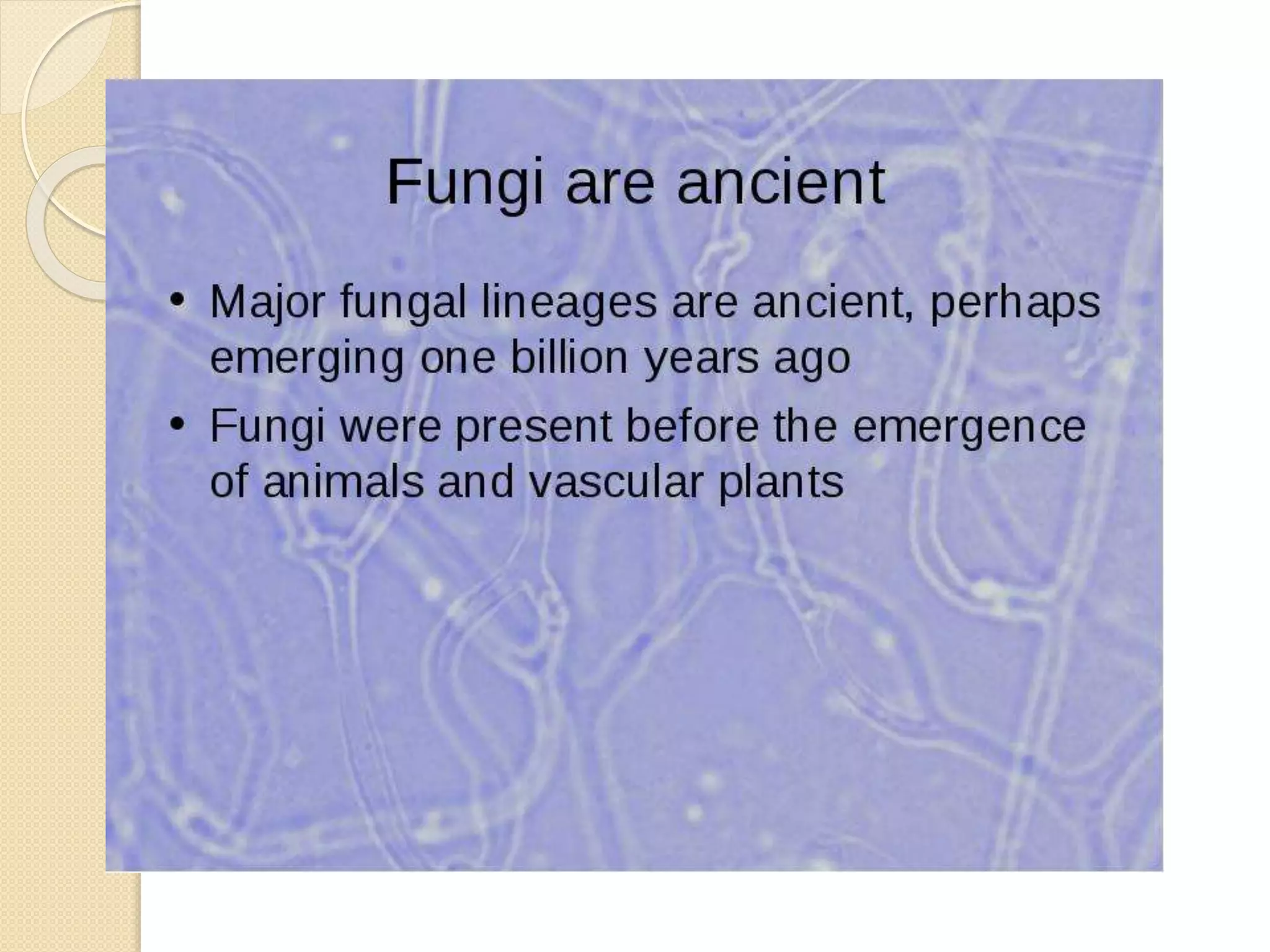 Introduction to fungi | PPT