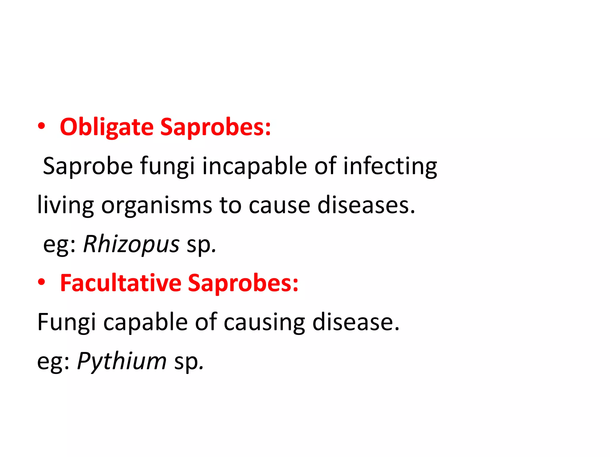 Introduction to fungi | PPT